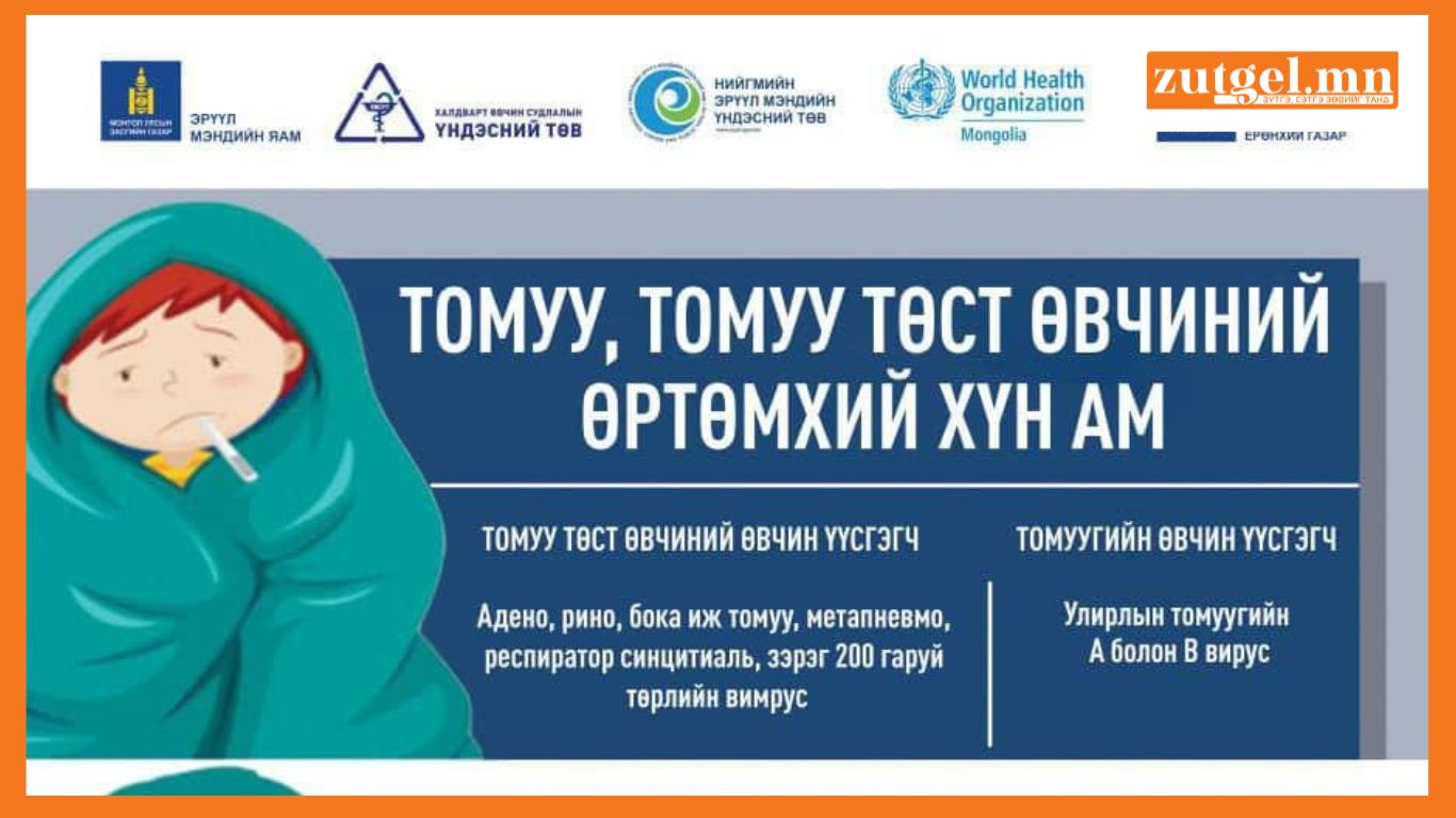 Улирлын Томуугийн эсрэг вакцинд хамрагдах нь чухал