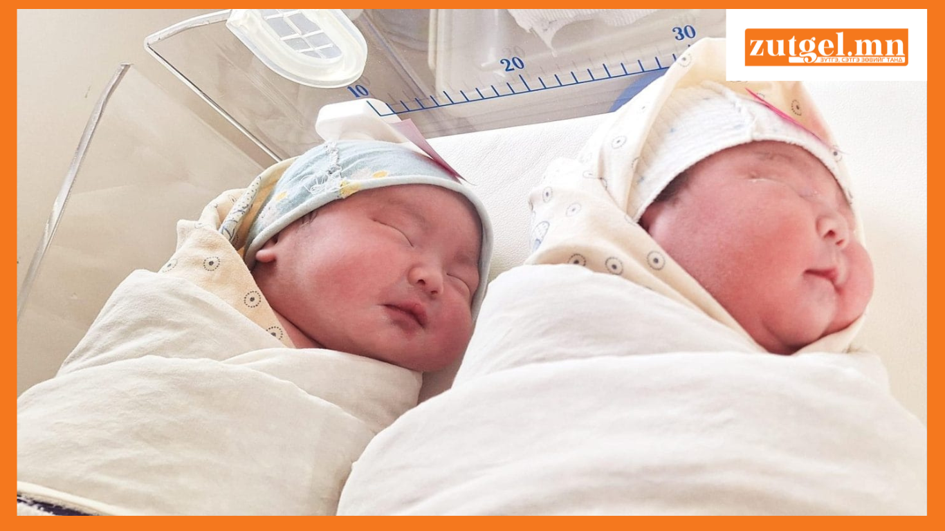 Шинэ оны эхний өдөр ховд аймагт хоёр ихэр охин мэндэлжээ